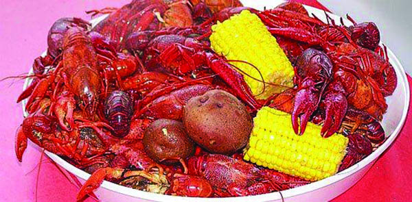 Authentic Louisiana Crawfish Boil Comes To FishHawk Ranch | Osprey Observer