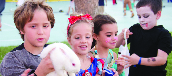 Apollo Beach Elementary Fall Festival Will Be A Spooky Good Time ...