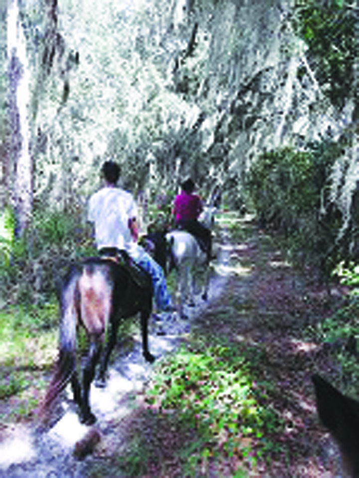 BC_redfoxstables | Osprey Observer