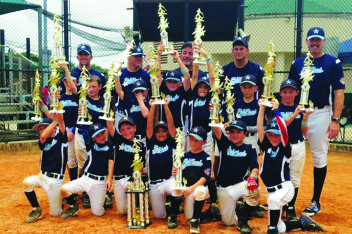 FishHawk Baseball Team Advances To Regionals & Bloomingdale Softball ...