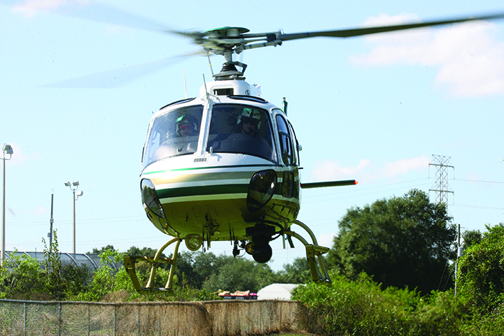 HCSO K-9 & Aviation Units Nab Wanted Man | Osprey Observer