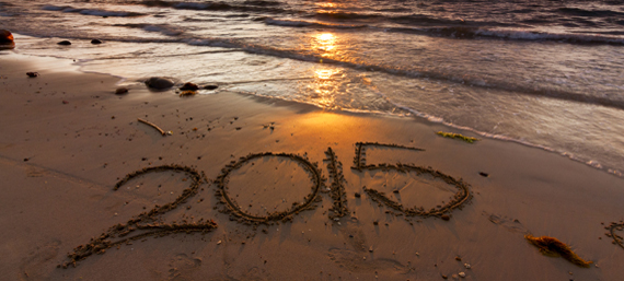 2015 Year In Review: Top Local Story Updates | Osprey Observer