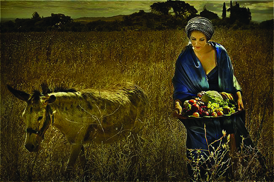 Heroic Women Of The Bible Abigail – Wise And Determined | Osprey Observer