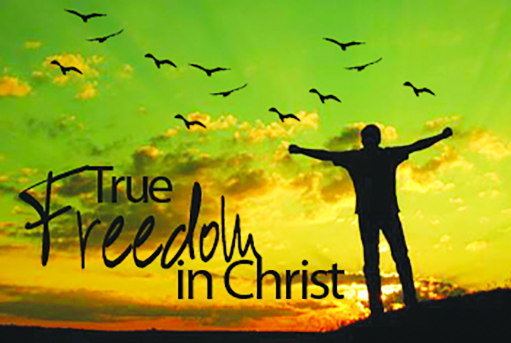 Live Like You Mean It: Notes On Real Freedom | Osprey Observer