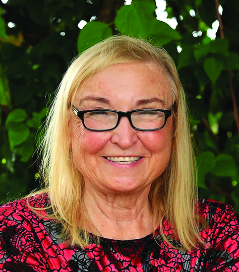 Green Party Candidate, Kim O’Connor, Seeks Seat On County Commission ...