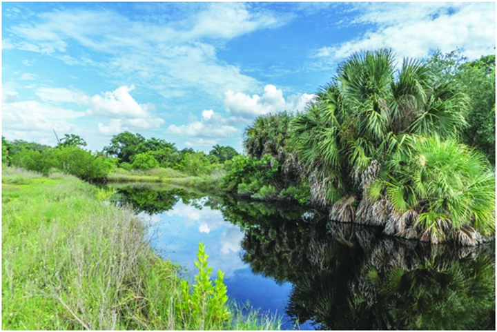 The Great Florida Outdoors: The Calusa Heritage Trail | Osprey Observer