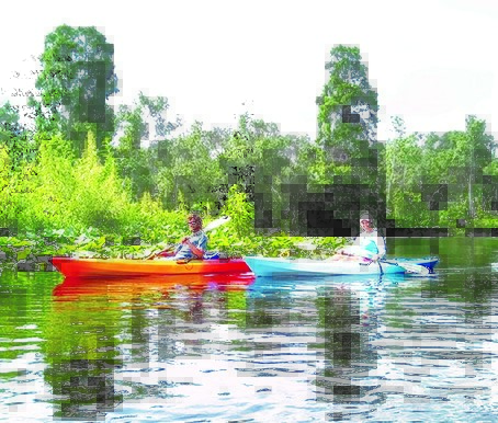 Camp Bayou Center Celebrates 20 Years | Osprey Observer