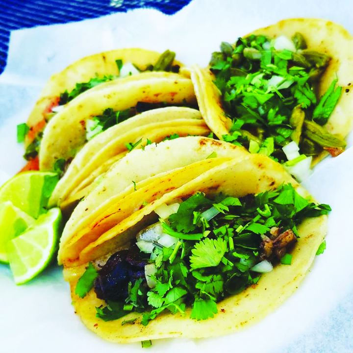 Inspired Tampa Ladies Strive To Make History With 1st Annual Tampa Taco ...