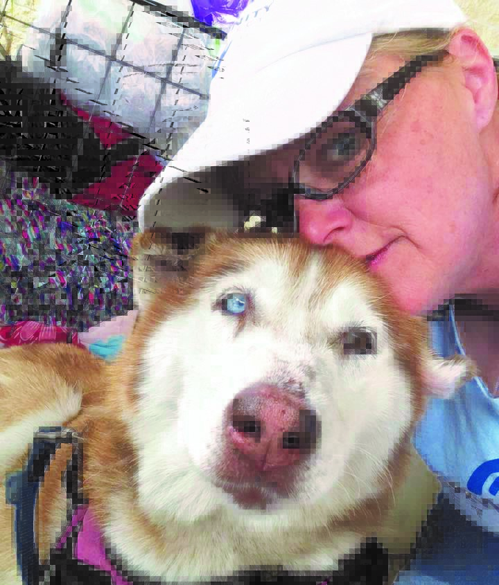 Community Pet Project Provides Goods And Supplies To Homeless Pet ...