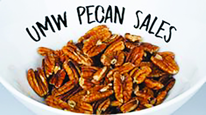 Craft Fair, Holiday Market, Pecan Sales & More… | Osprey Observer