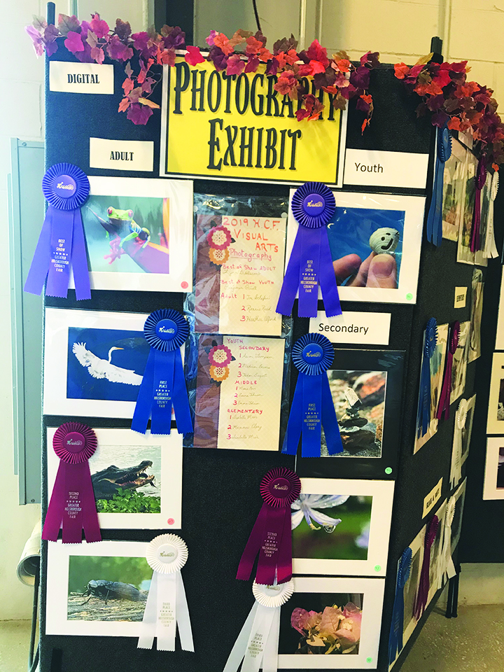 Winners For The 2019 County Fair Photography And Photography/Mixed ...