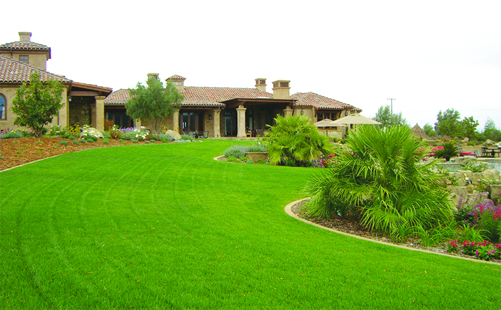 DAVE The Garden Guy & His Company DTGG Create Landscape Masterpieces ...