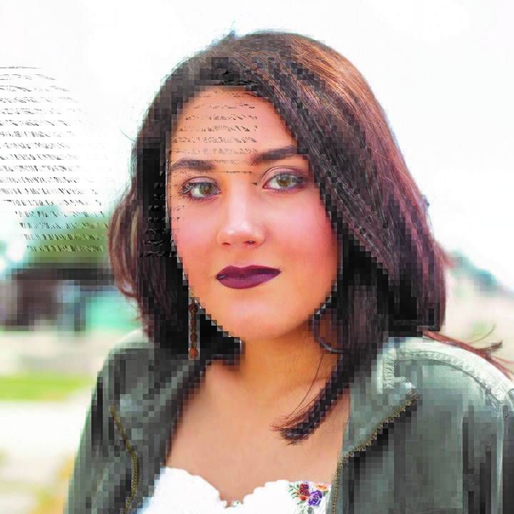 New Original Song “Glass Box” By Local Teen Karinna Laneé | Osprey Observer