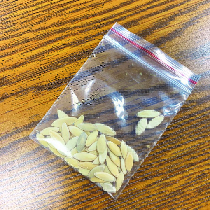 Get Suspicious Seeds In The Mail? Hillsborough’s Extension Service Will ...