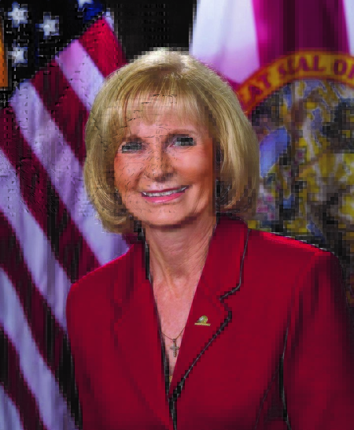 Sandra Murman Brings Experienced Record Of Accomplishments To County ...