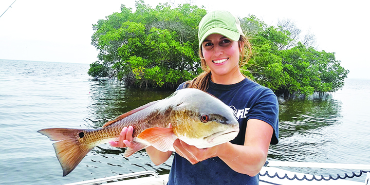 Summer To Fall Transition…It’s Time For Redfish | Osprey Observer