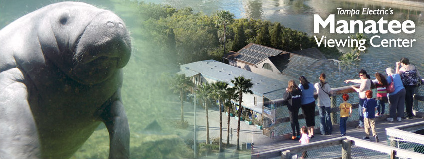 Manatee Viewing Center Remains Closed, Strawberry Square Dance Center ...