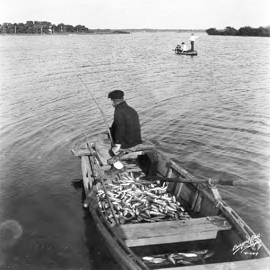 Facts And Legends From The Shores Of The Alafia | Osprey Observer