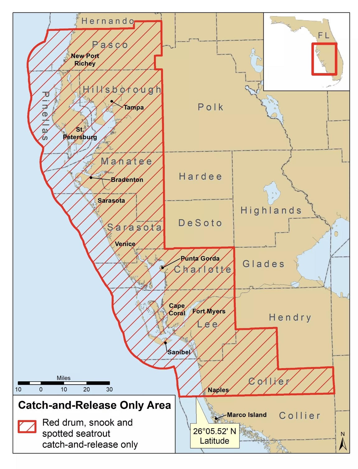 FWC Seeks Public Comment On Saltwater Fishing Restrictions | Osprey ...