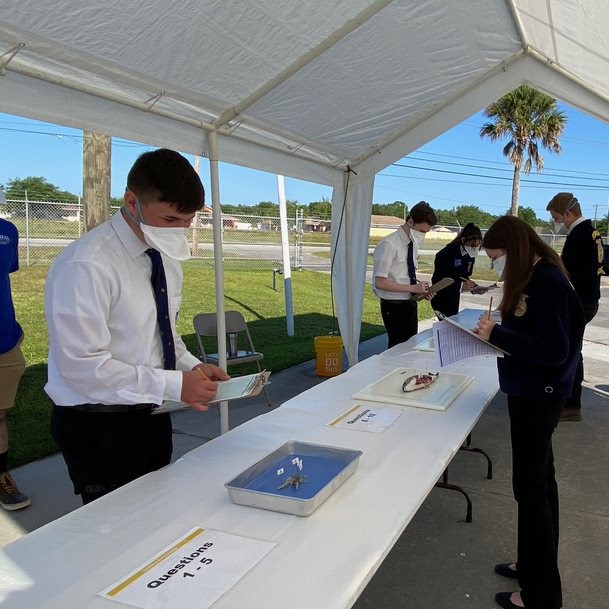 FFA Competition Gives Students Chance To Explore Aquaculture | Osprey ...