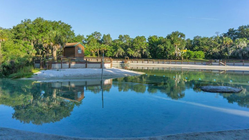 Lithia Springs Reopens Swimming Area | Osprey Observer