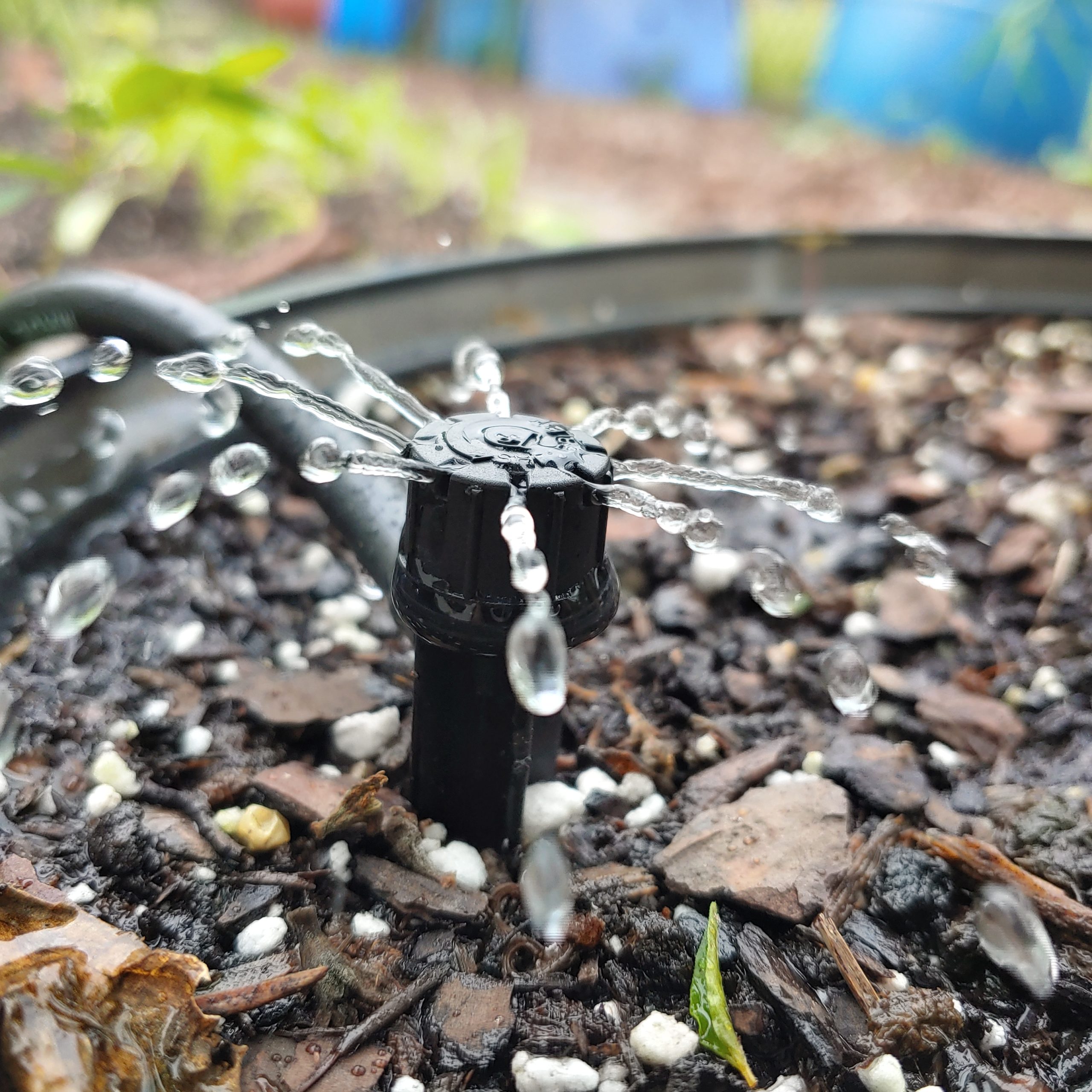 Microirrigation In The Landscape | Osprey Observer