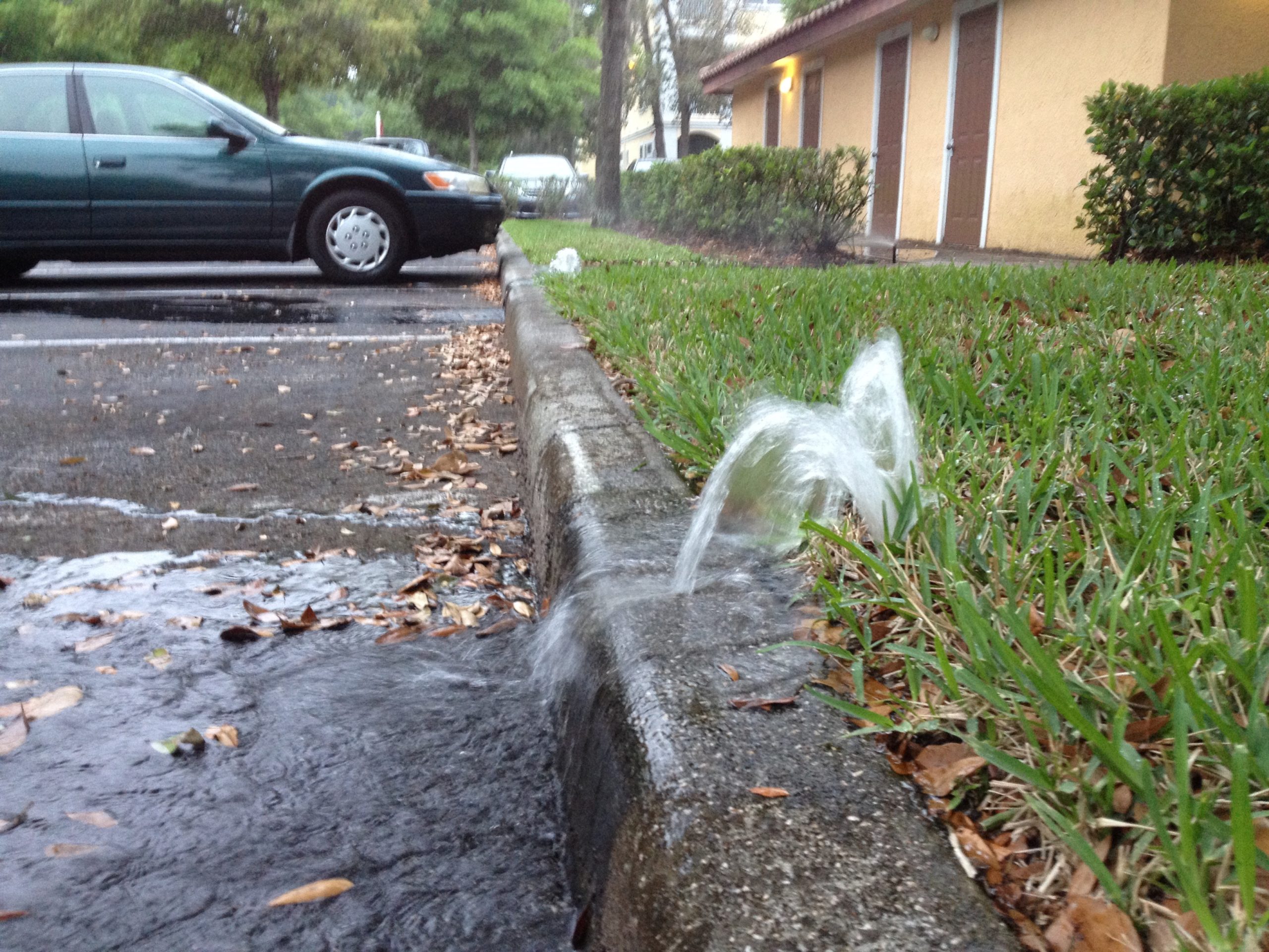 Get The Dirt: Winter Landscape Maintenance: Go For Gardening Green Vs ...