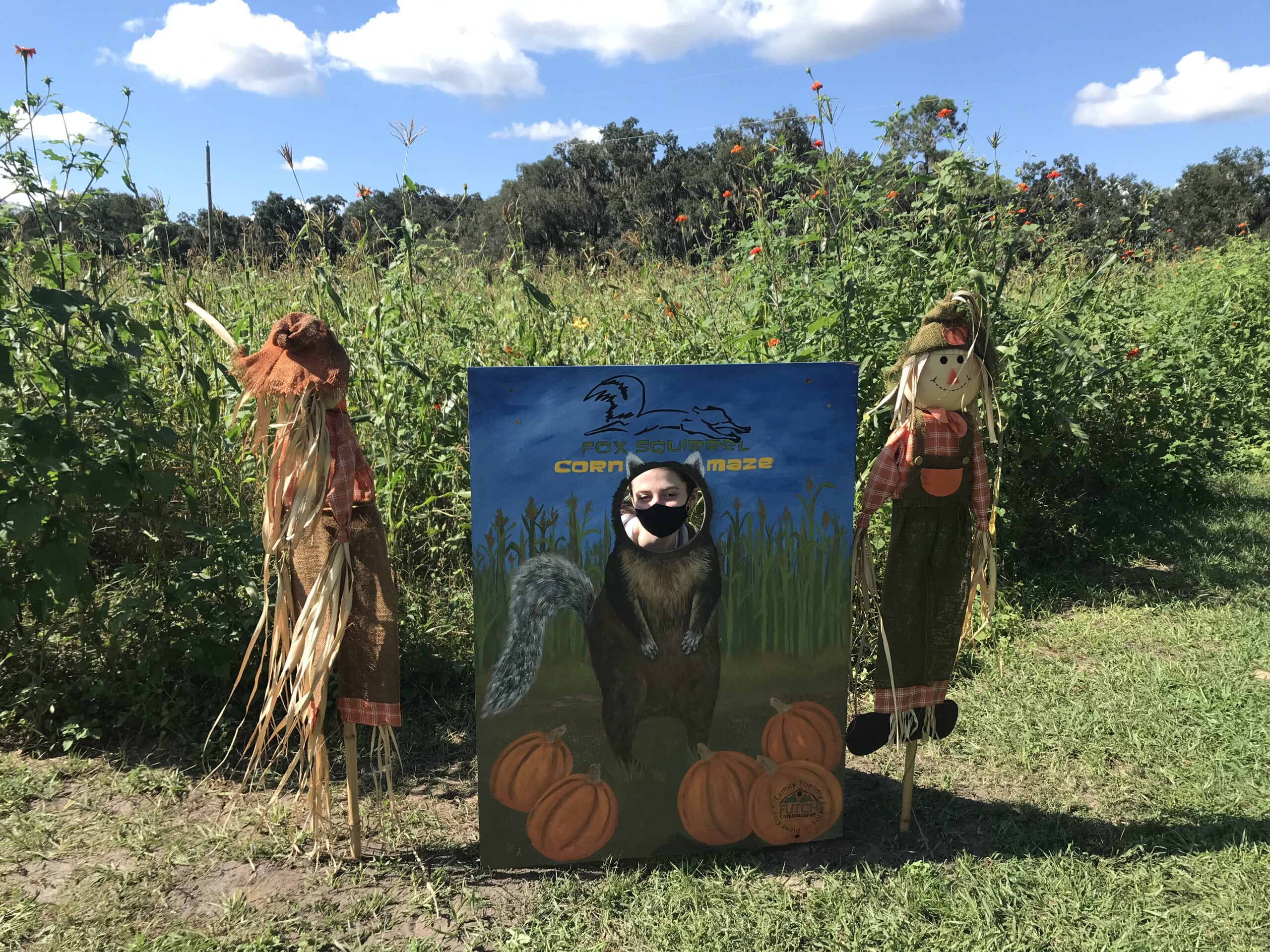 Have Fun At The Annual Fox Squirrel Corn Maze | Osprey Observer