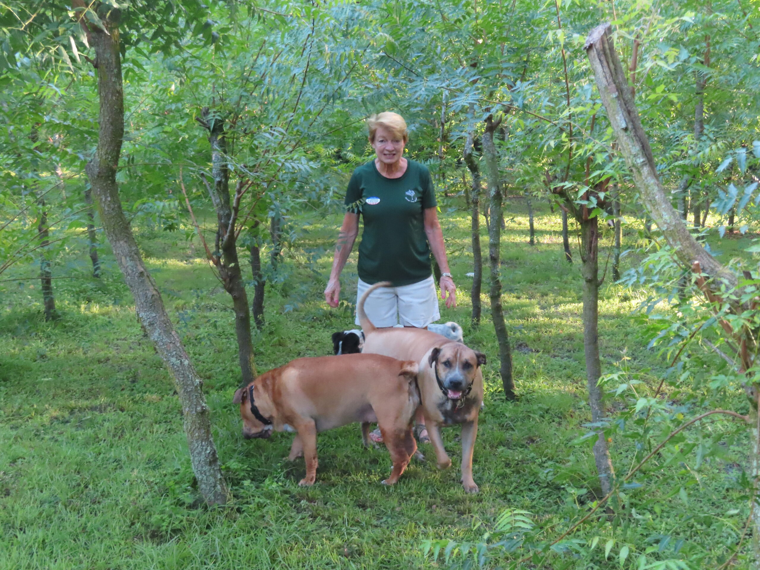 Neem Tree Farms In Brandon Offers Medicinal Products, Pesticide & More ...