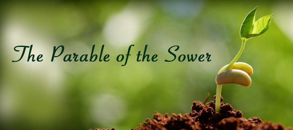 The Powerful Parables Of Jesus The Parable Of The Sower Osprey Observer