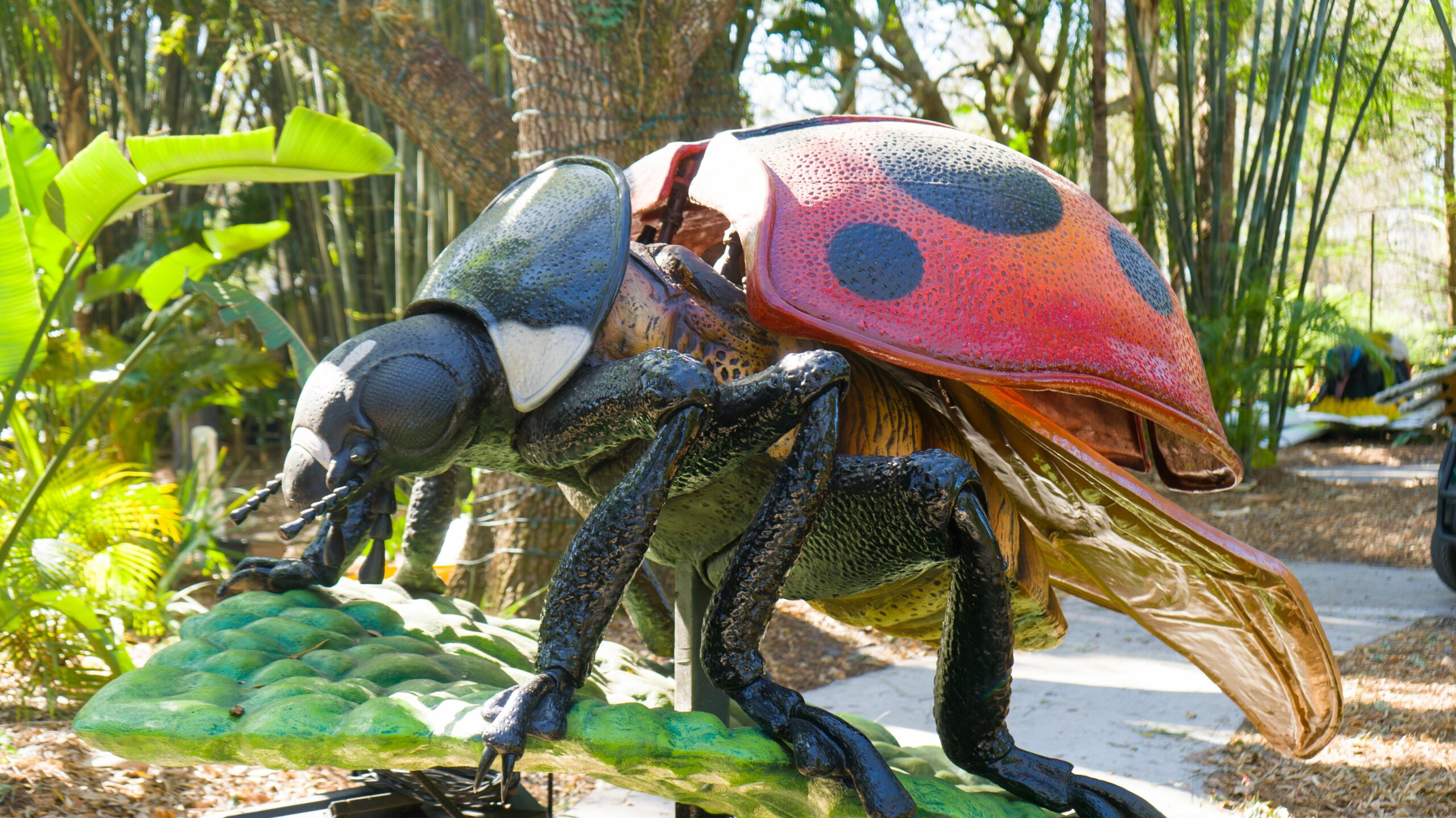 Something Big Is Coming To ZooTampa At Lowry Park | Osprey Observer