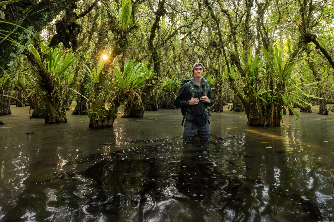The Everglades Foundation Exhibit Features Immersive Photography ...