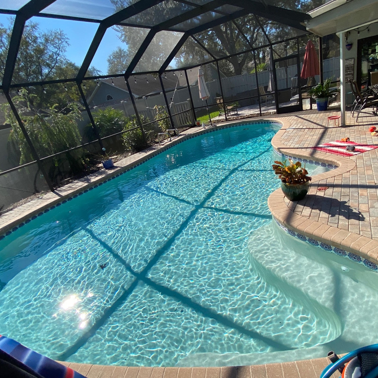 Keep Your Pool Clean, Not Green, With Edge Pools | Osprey Observer