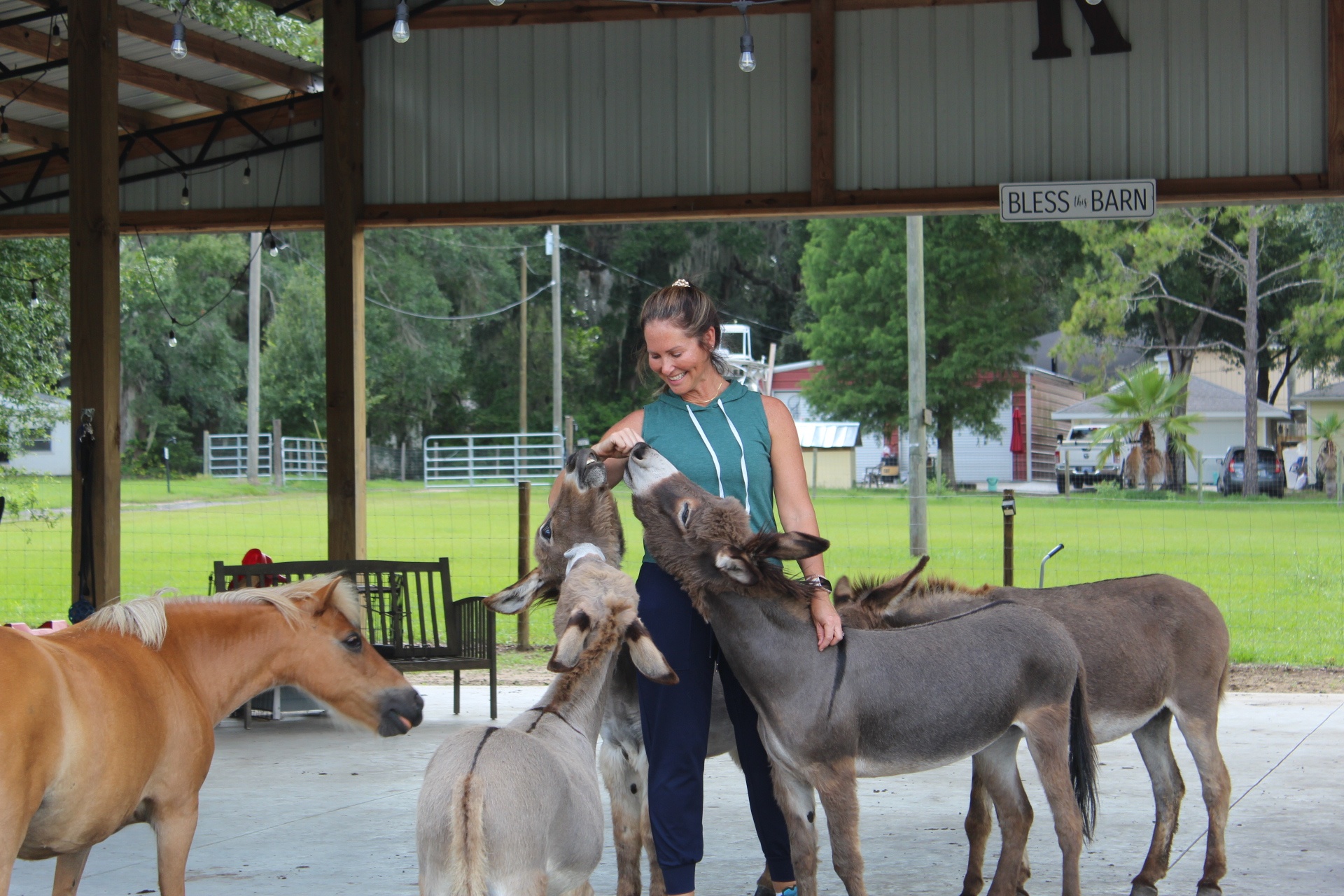 Family Offers Mini Friends Farm Visits To Bring Joy To Special Needs ...
