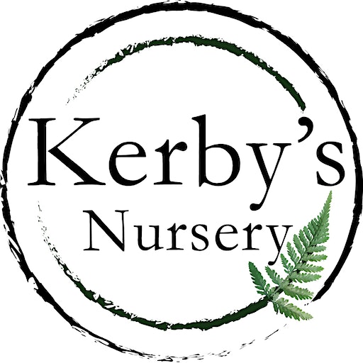 Center Place, Free Reading Class & Plants At Kerby’s | Osprey Observer