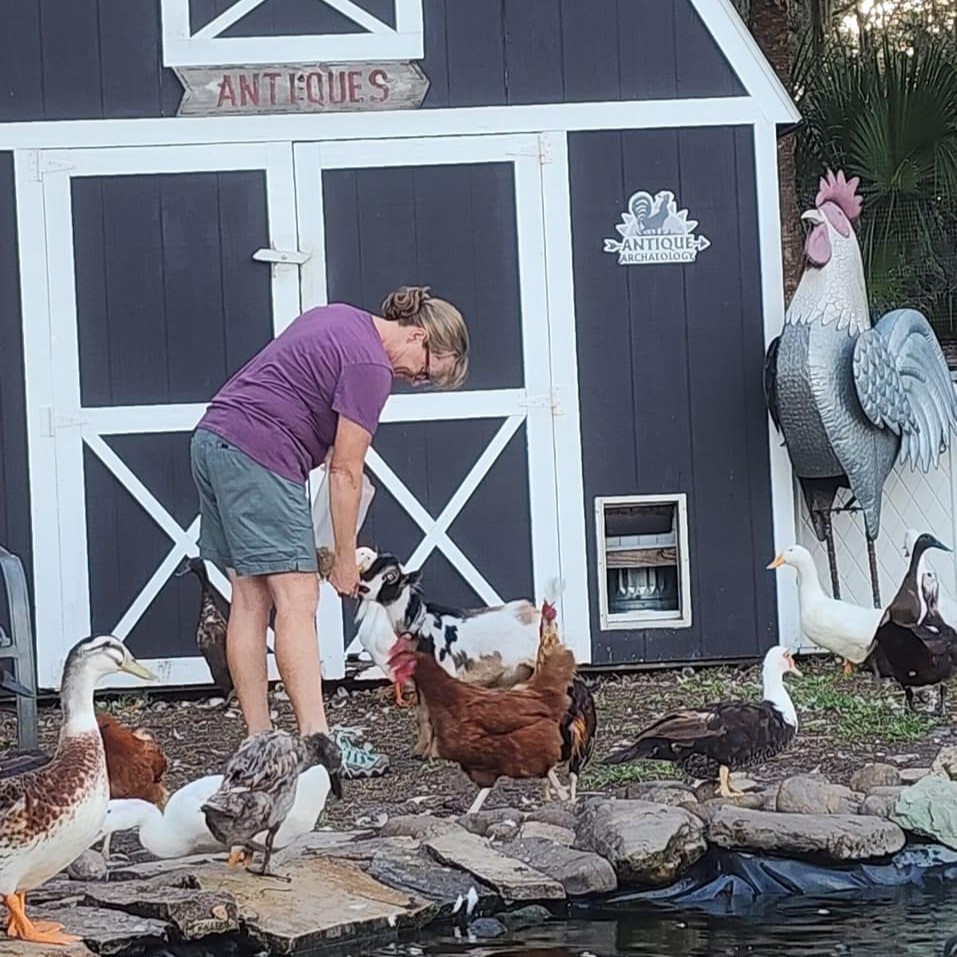 First Ladies Farm Gives Hope To Cats, Kittens And Domestic Poultry ...