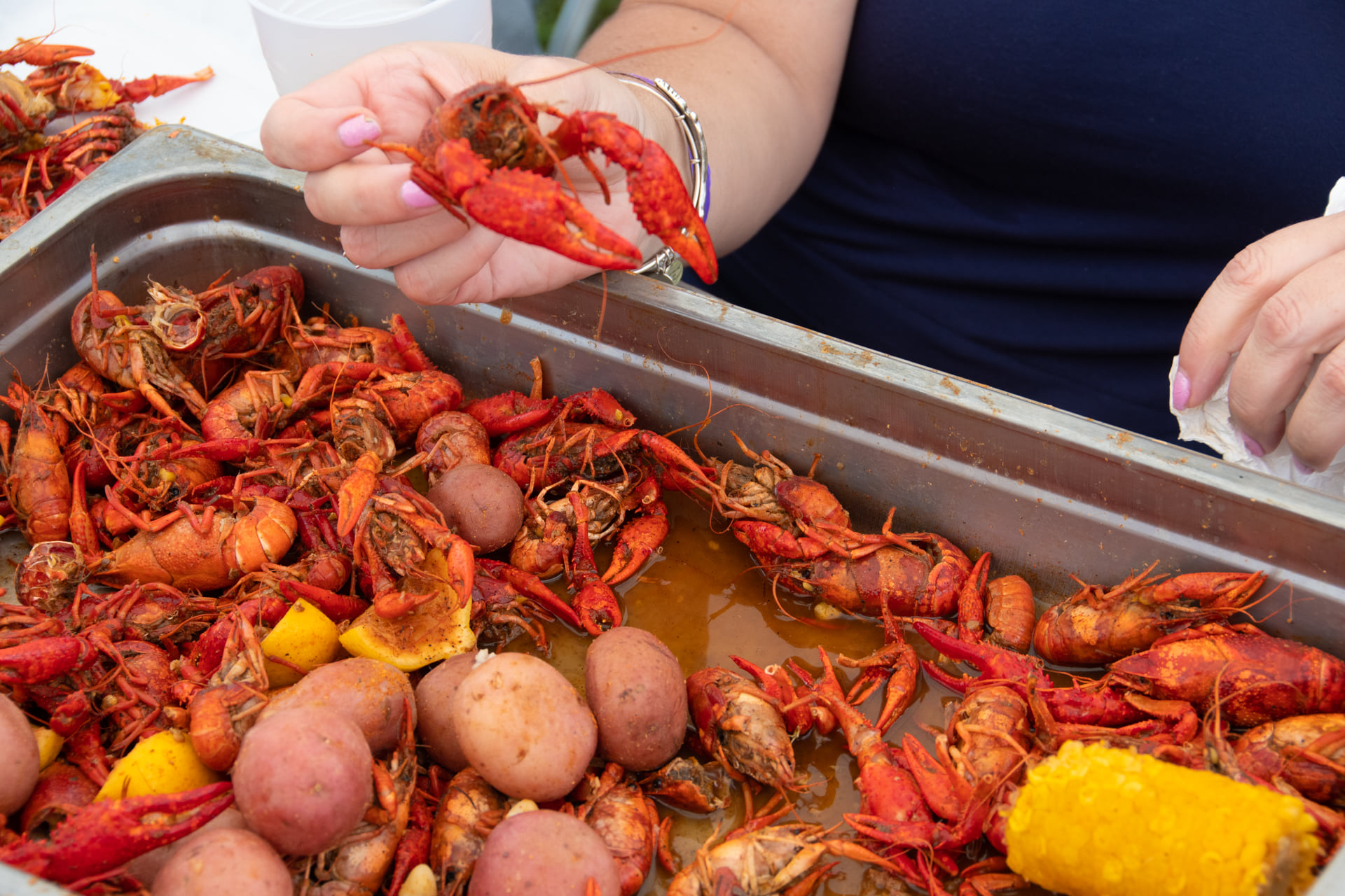 14th Crawfish Festival Is Back With Good Music, Food And Fun For Family ...