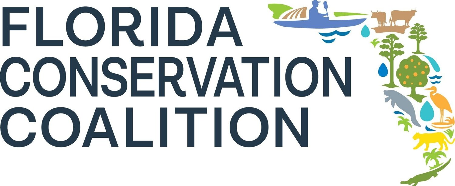 Youth Groups Encouraged To Apply For Florida Conservation Coalition ...
