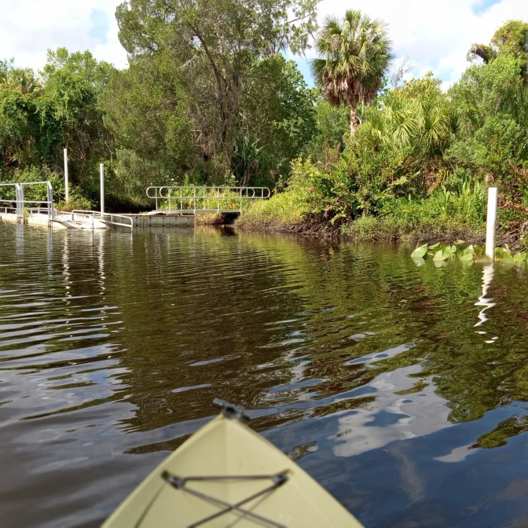 Camp Bayou Offers Night Paddles And More | Osprey Observer