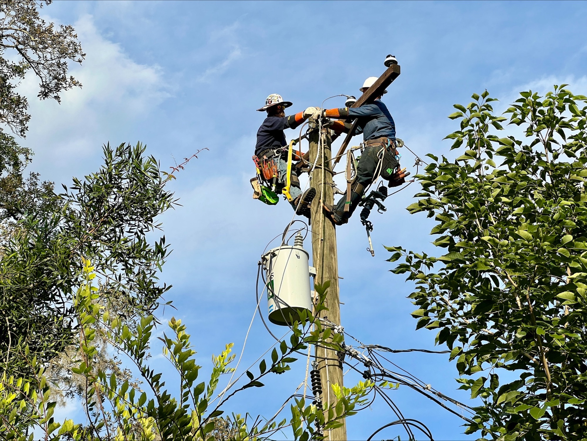 HCC And TECO Team Up To Grow Line Workforce | Osprey Observer