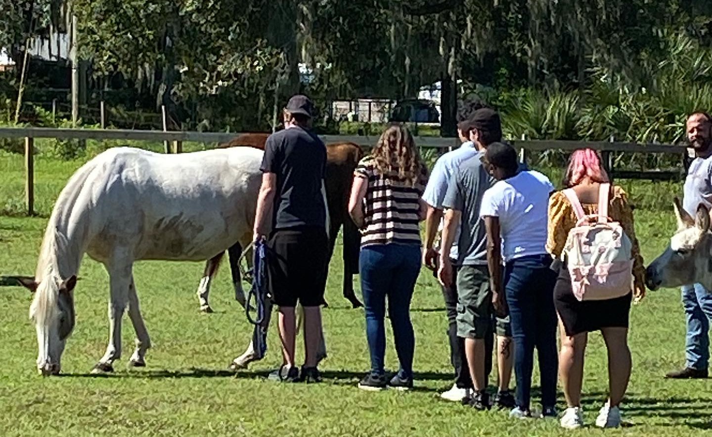 Nonprofit Graze Academy Reins In Healing And Growth | Osprey Observer