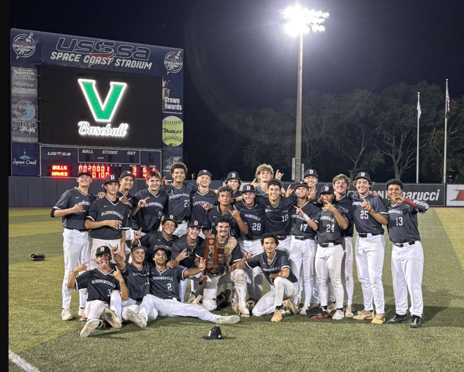 Bloomingdale Bulls Baseball Team Reaches States For Second Year In A ...