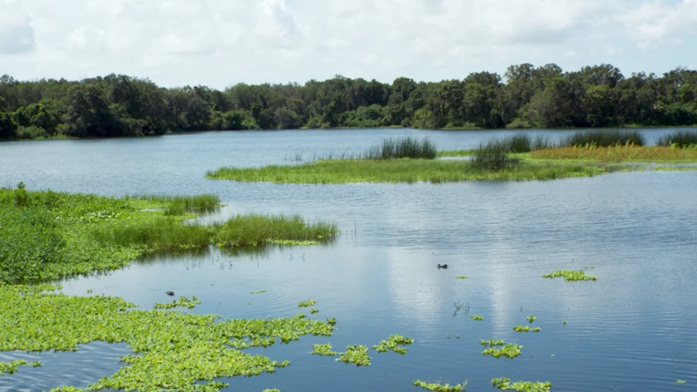 Levels Drop At Medard; Boaters Face Closures, Kayaks Welcome | Osprey ...