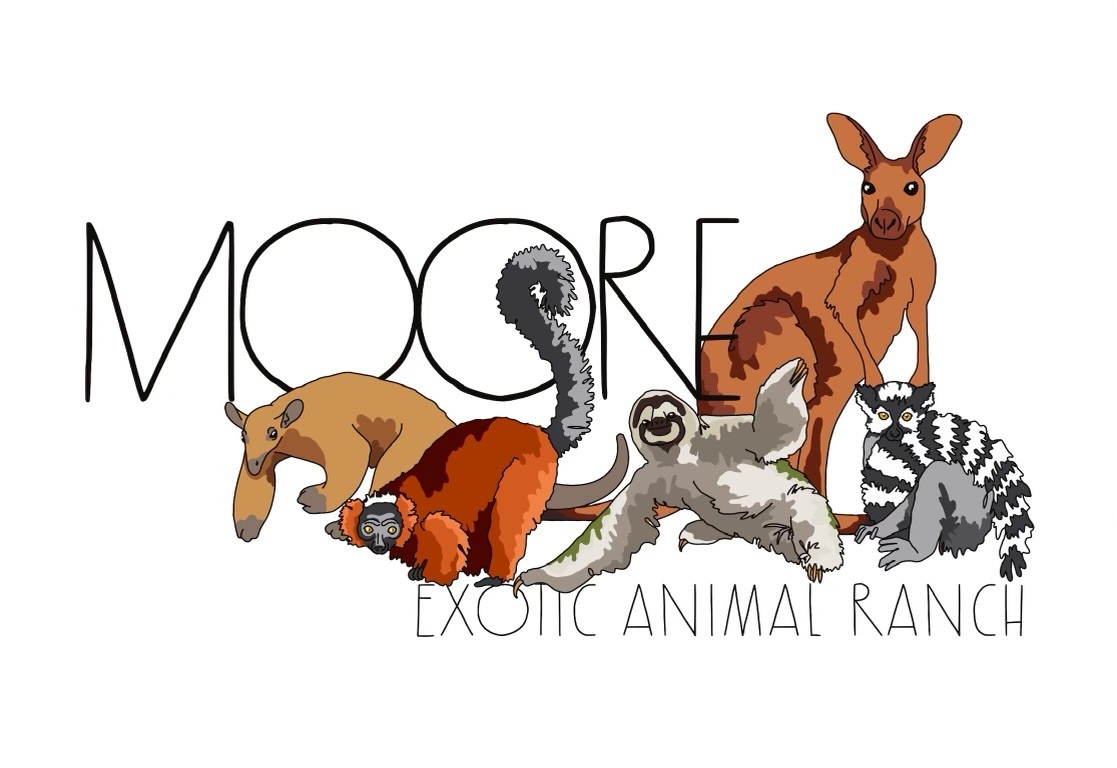 Moore Exotic Animal Ranch Offers Private Tours Of Its Local Zoo ...