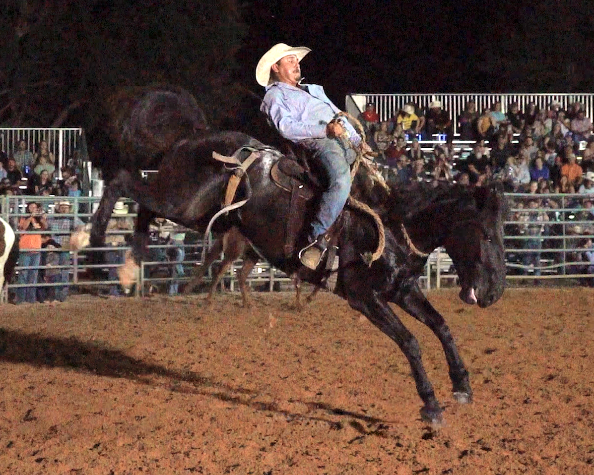 Tampa Bay Rodeo & Family Festival Gallops Into Hillsborough County ...